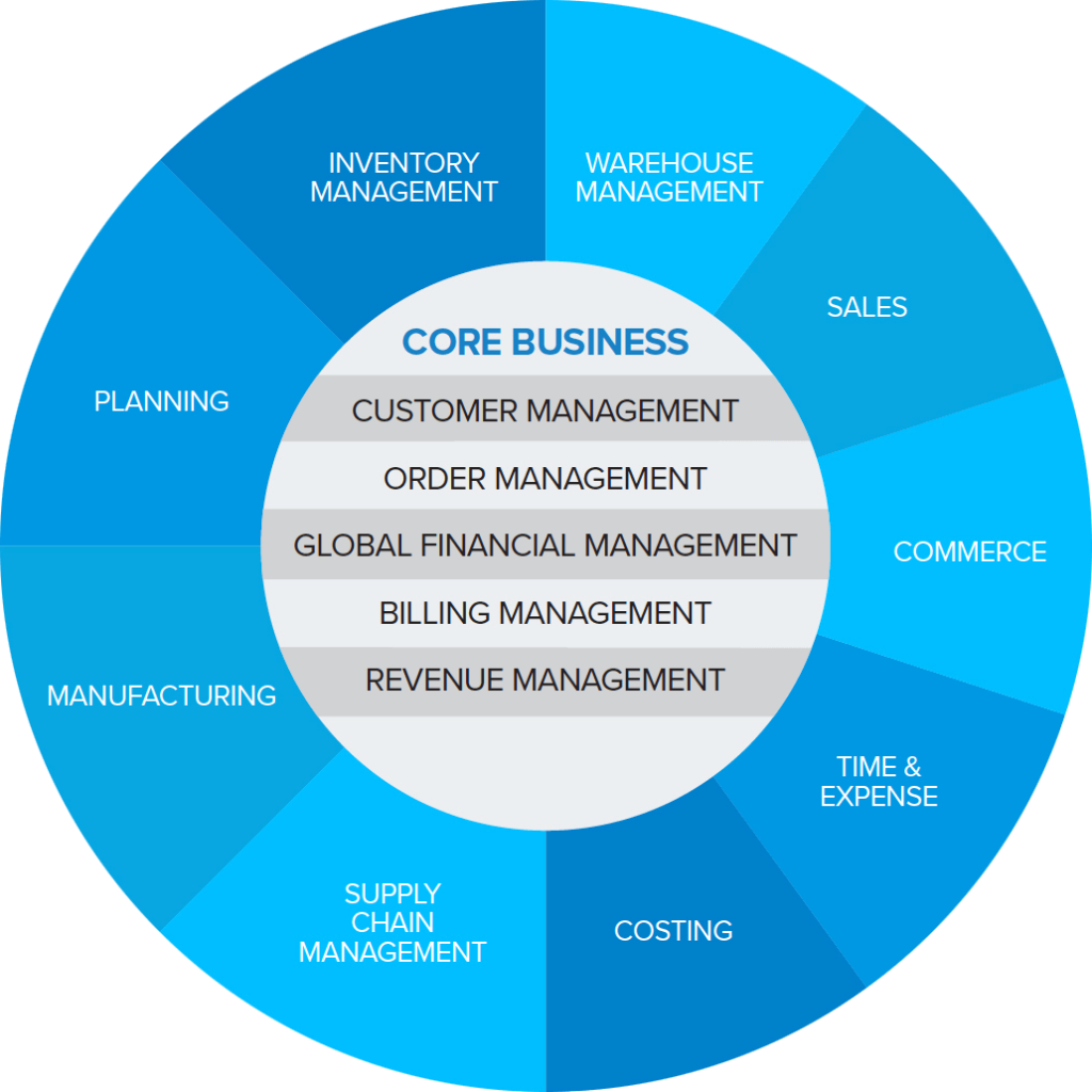 NetSuite ERP Software Solutions for Manufacturing Companies