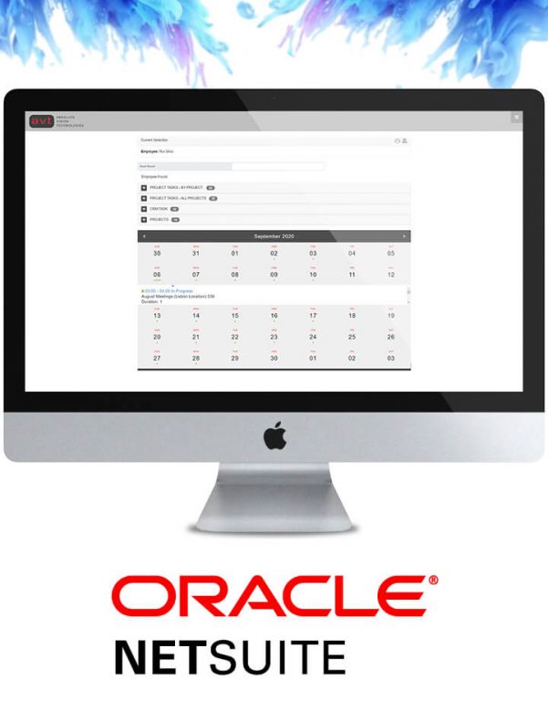 AVT Project Time Tracking SuiteApp for NetSuite - ERP Software Solutions